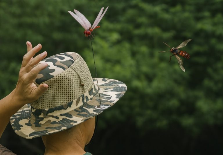 Hulvaton kikka leviää: Näin paarma ei pure sinua! | Terveyden Asialla